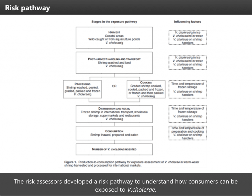 A Risk-based Approach to Food Safety Case Studies | AANZFTA LMS