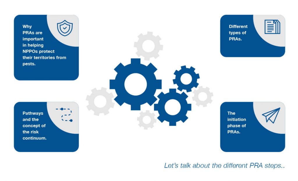 Pest Risk Analysis (PRA) | AANZFTA LMS